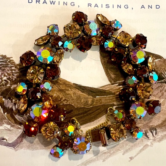 Regency | Jewelry | Vintage Regency Jewels Aurora Borealis Brown ...